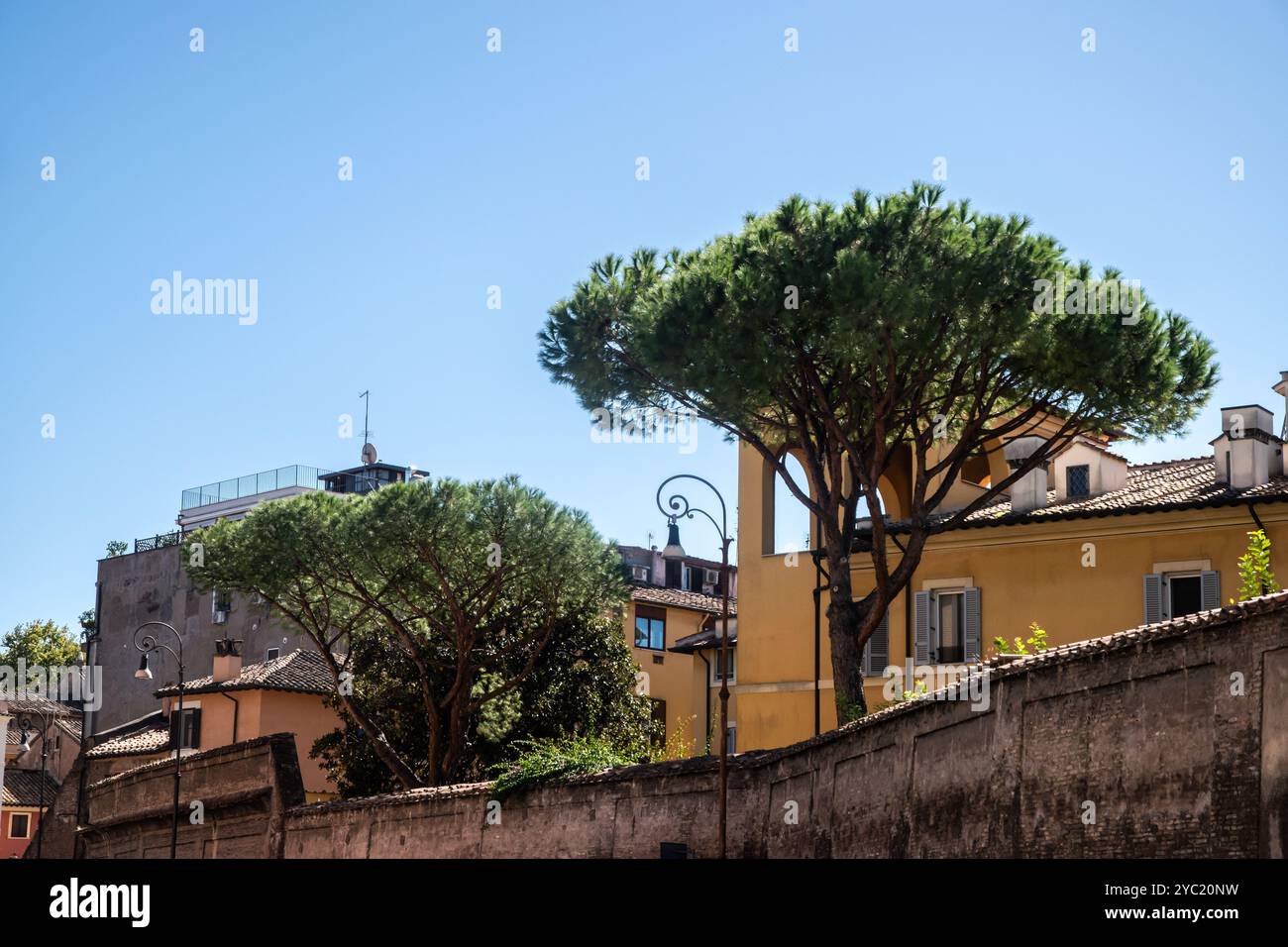 Ancient wall, buildings and pine pinyon trees in Rome, Italy Stock ...