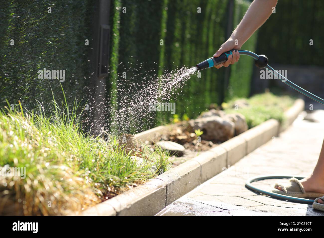 Hand watering plants in a garden hi-res stock photography and images ...