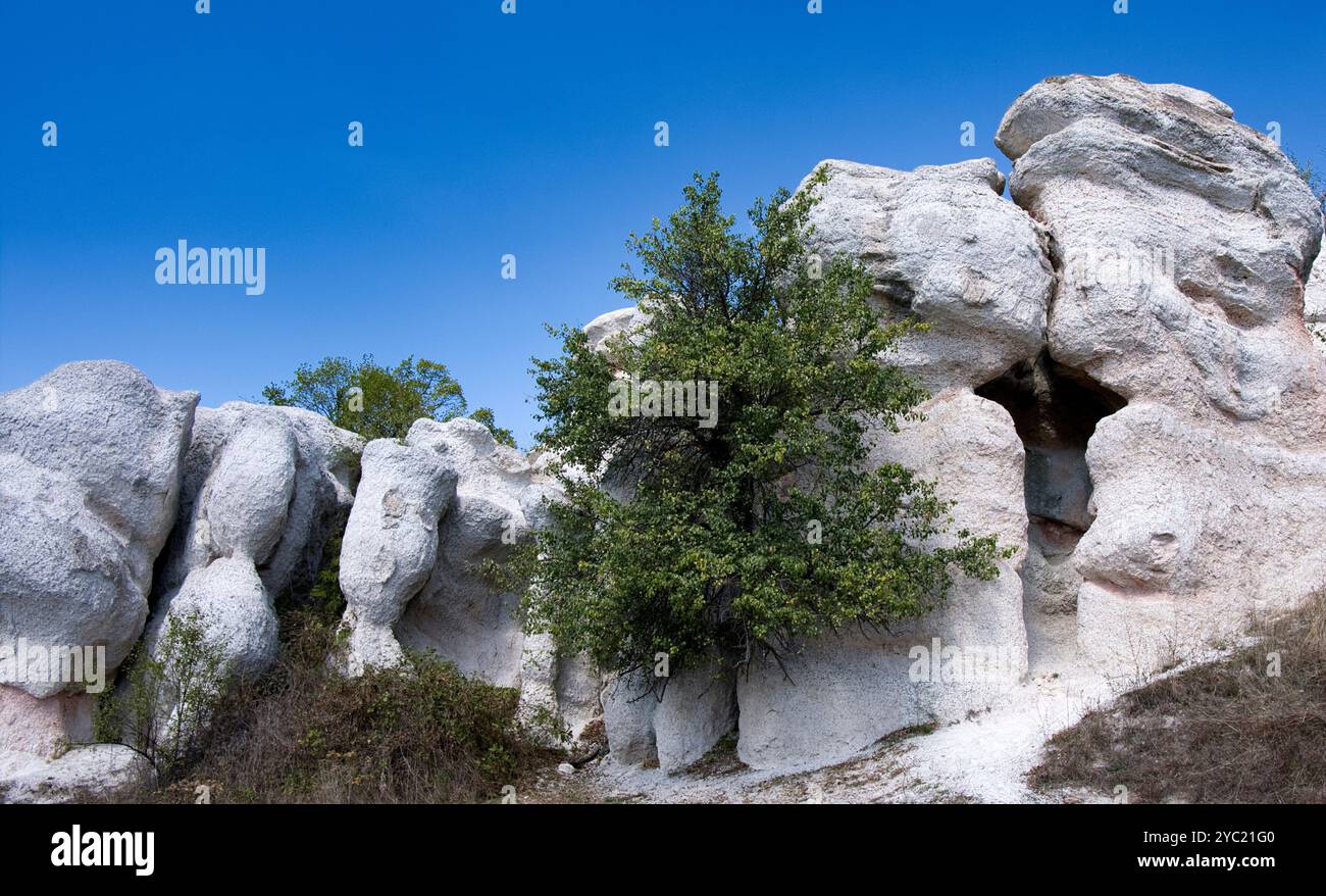 Petrified Wedding rock formation in Bulgaria Stock Photo - Alamy