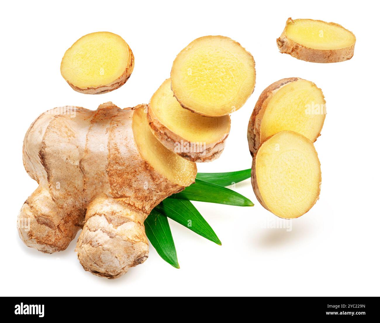 Ginger root leaves hi-res stock photography and images - Alamy
