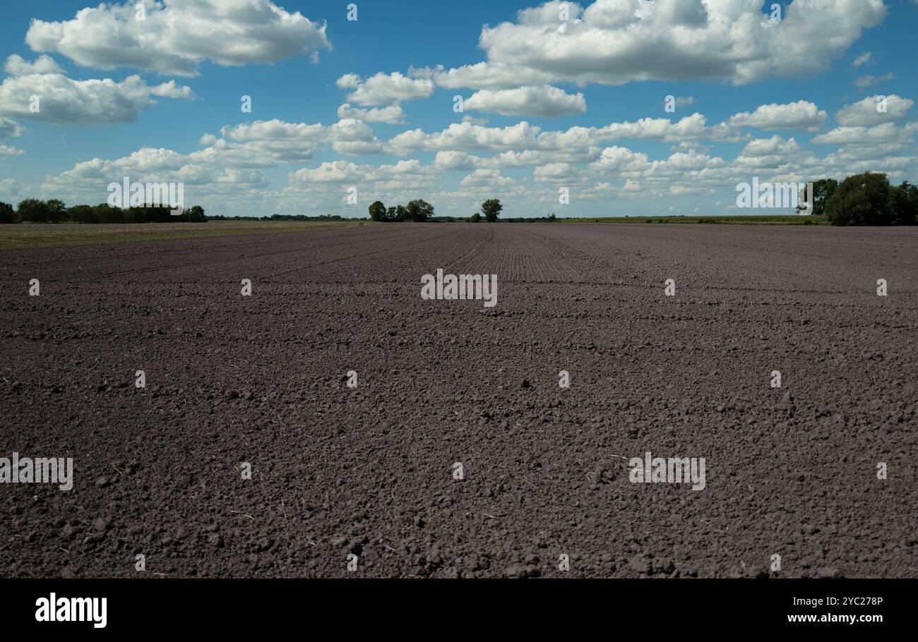 Agriculture concept. Gardening season concept. Texture of fertile soil ...