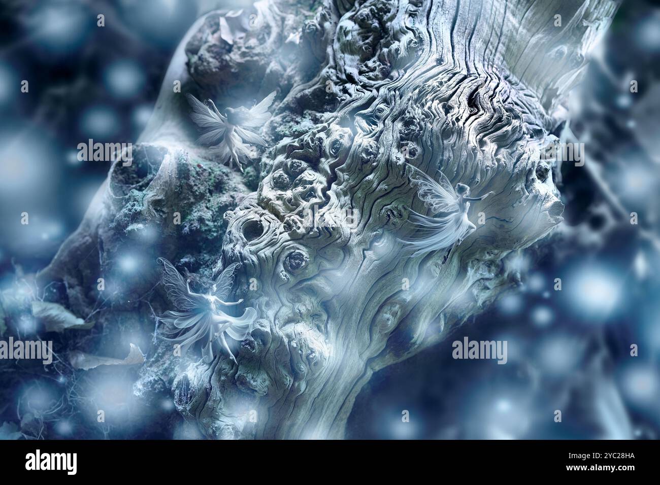 Fairyland hi-res stock photography and images - Alamy