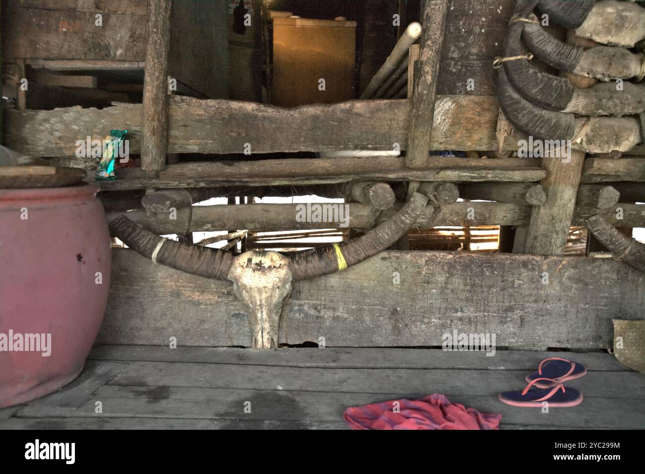 A buffalo skull and horn are used as a ladder at the door of a house in ...