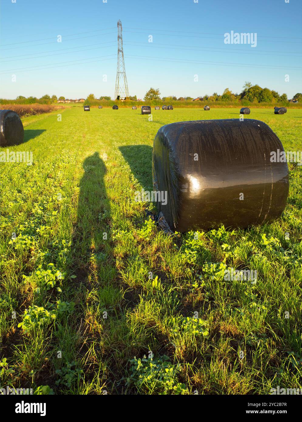 Pylons and silage bags in a field in Lower Radley. I love electricity ...