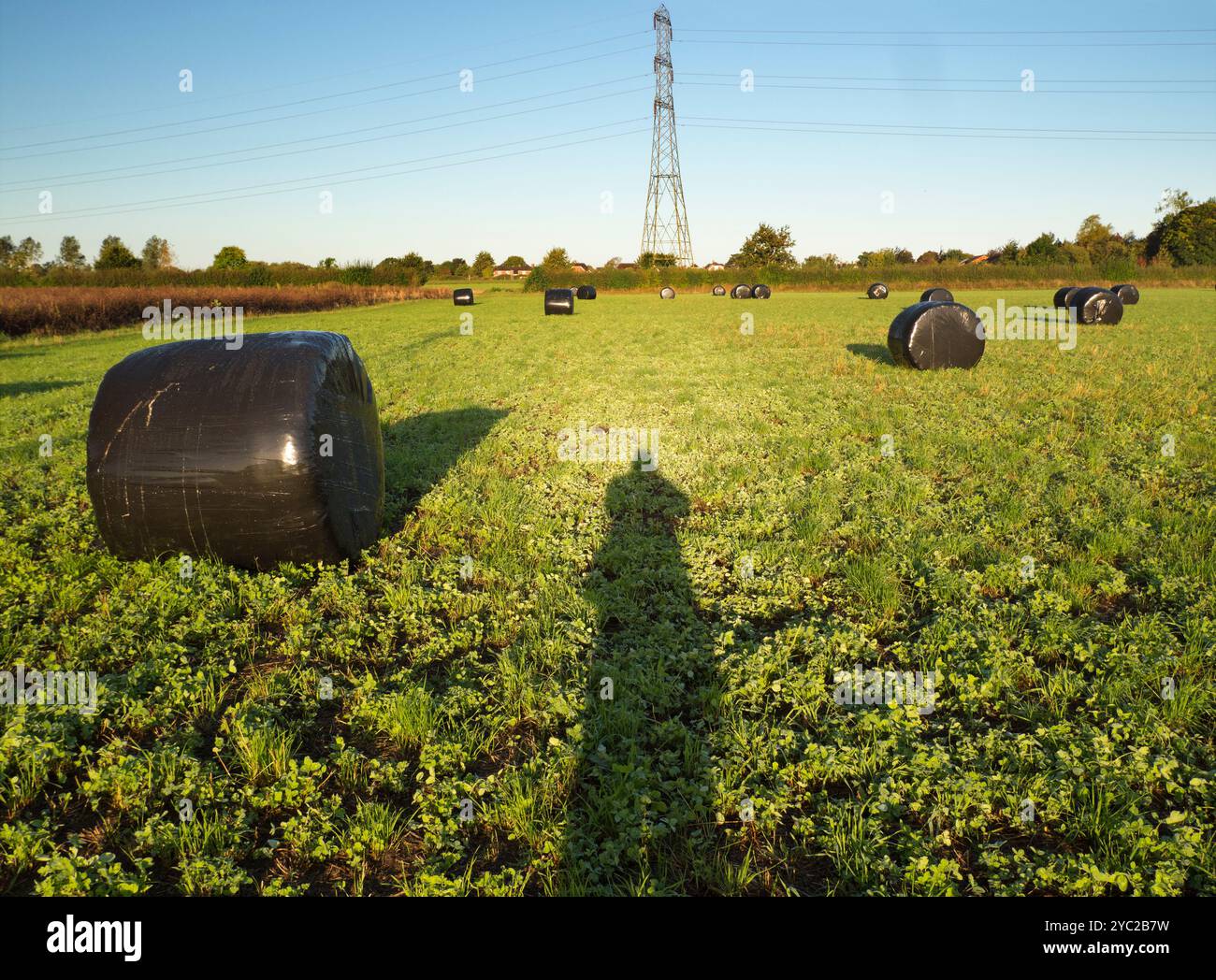 Pylons and silage bags in a field in Lower Radley. I love electricity ...