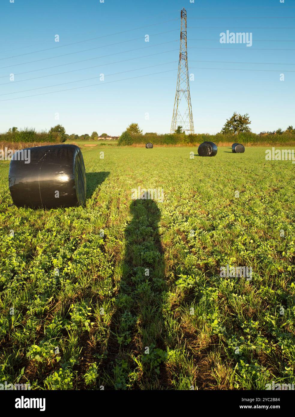 Pylons and silage bags in a field in Lower Radley. I love electricity ...