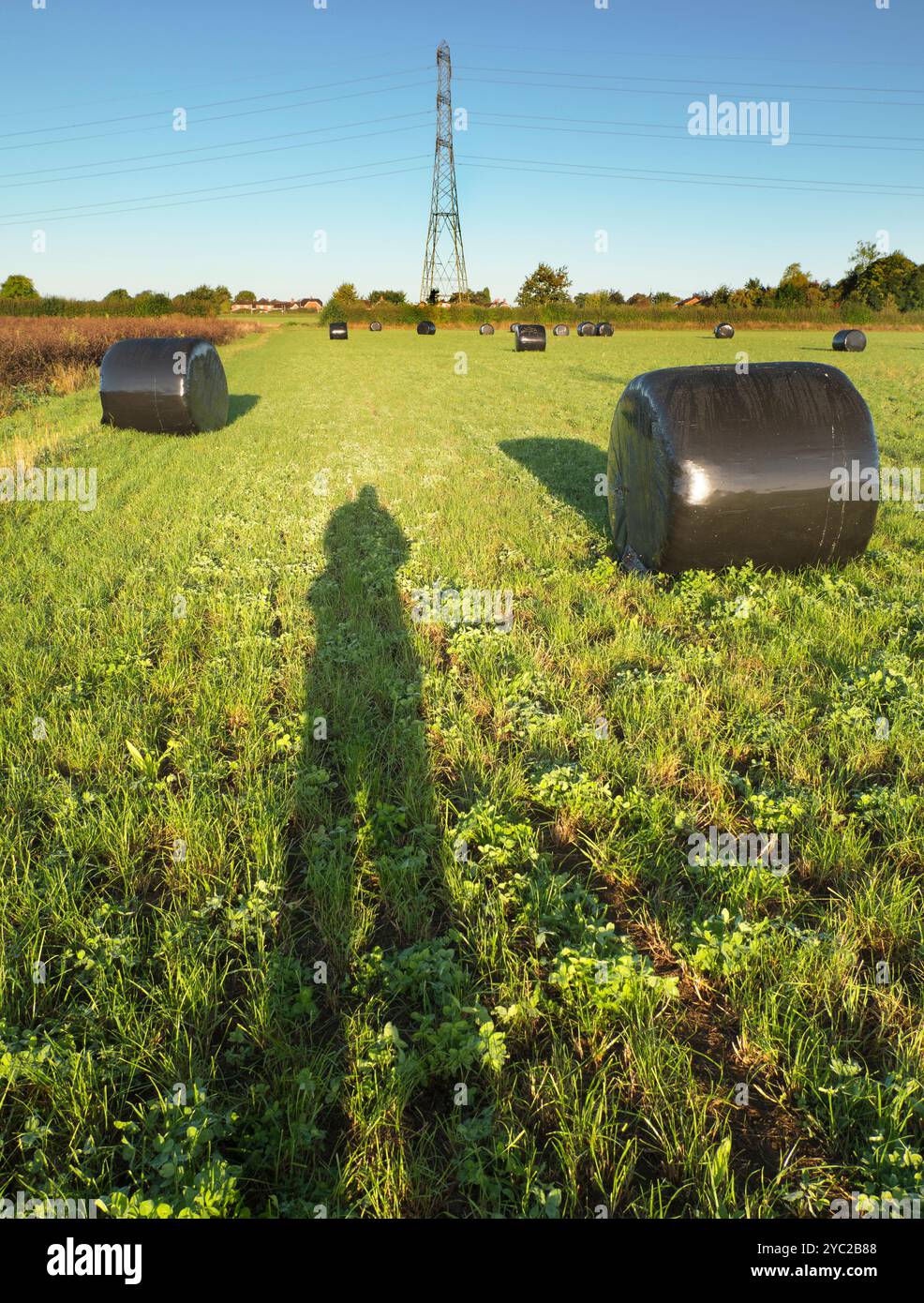 Pylons and silage bags in a field in Lower Radley. I love electricity ...