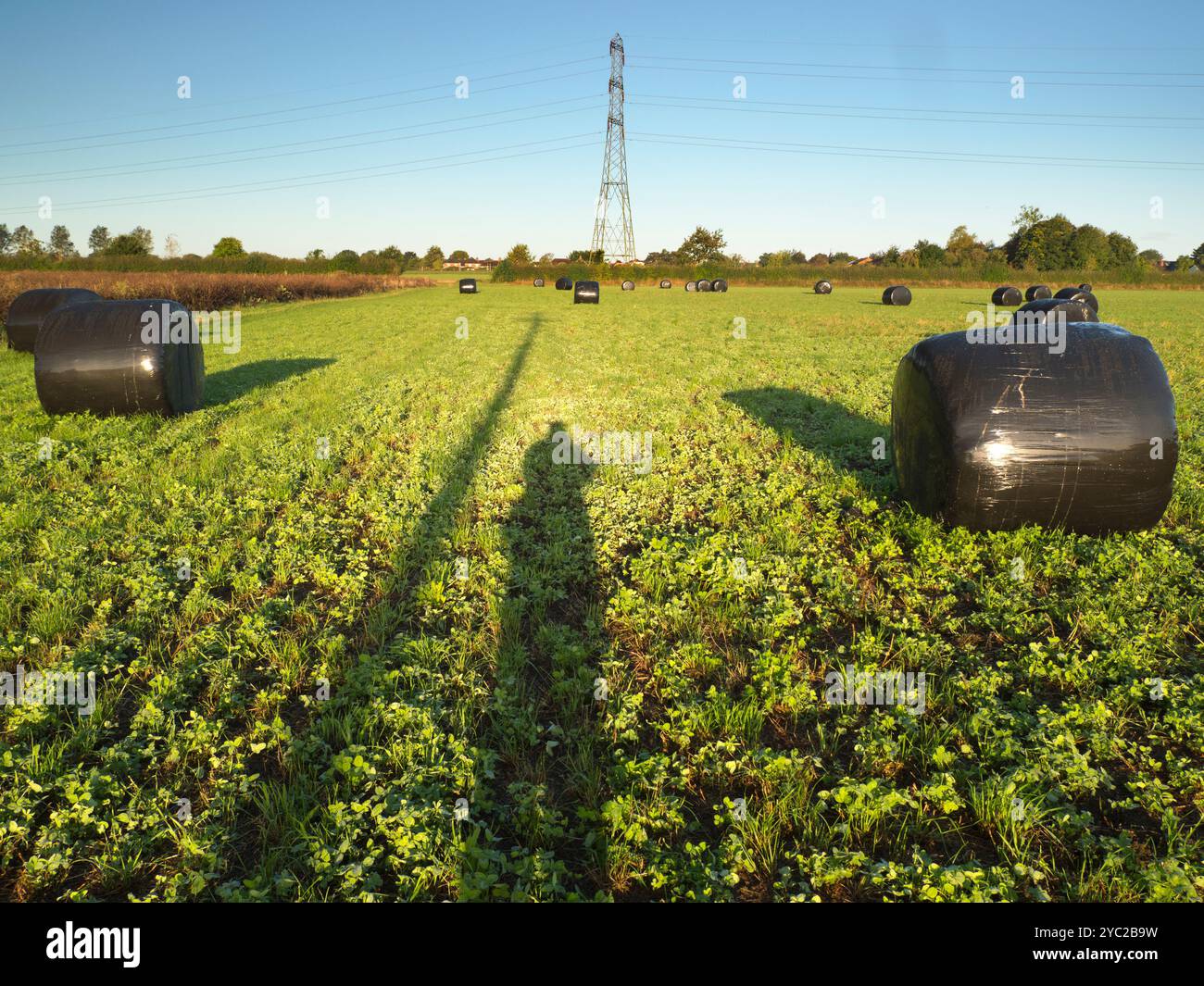 Grid of elongated shapes hi-res stock photography and images - Alamy