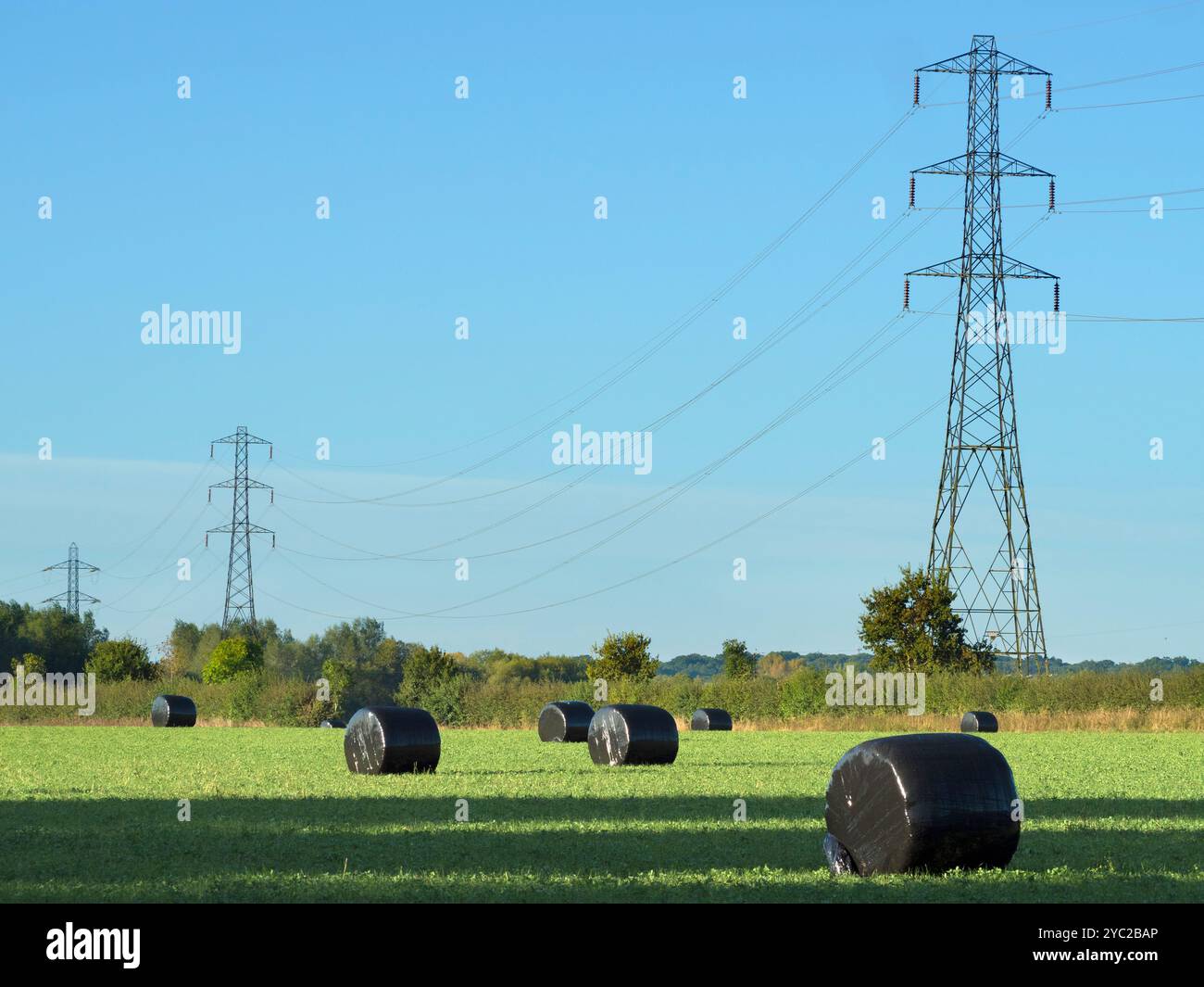 Pylons and silage bags in a field in Lower Radley. I love electricity ...