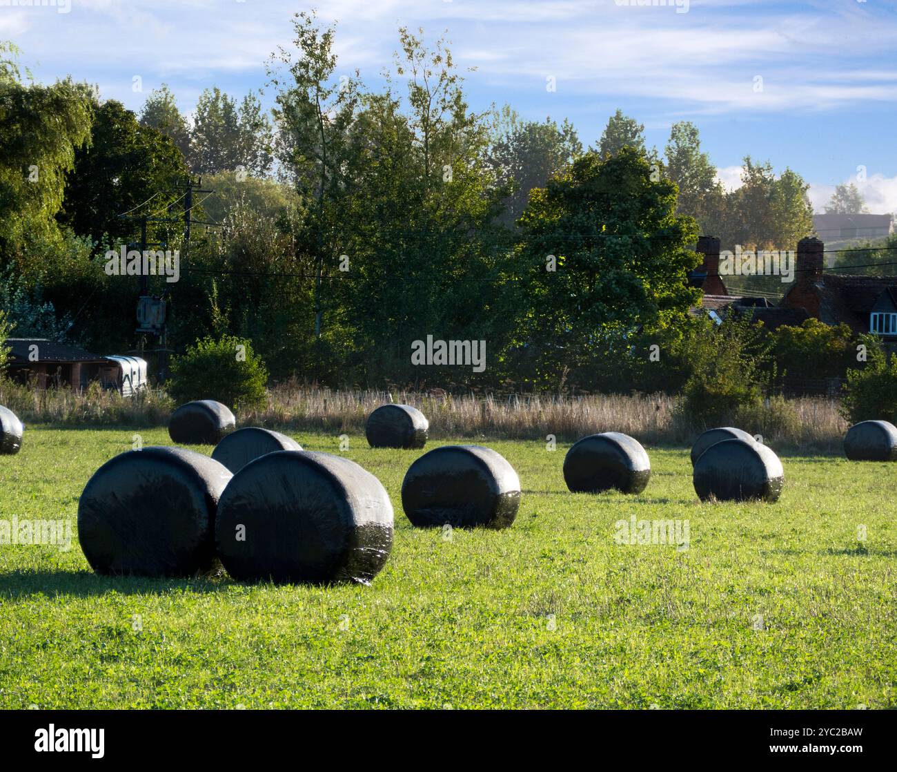 Silage bags in a field in Lower Radley. Unfortunately, they are not ...