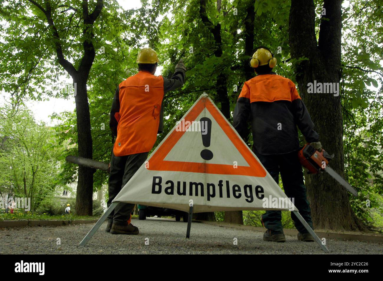 sign or logo for tree works, taking care of trees sign or logo for tree ...