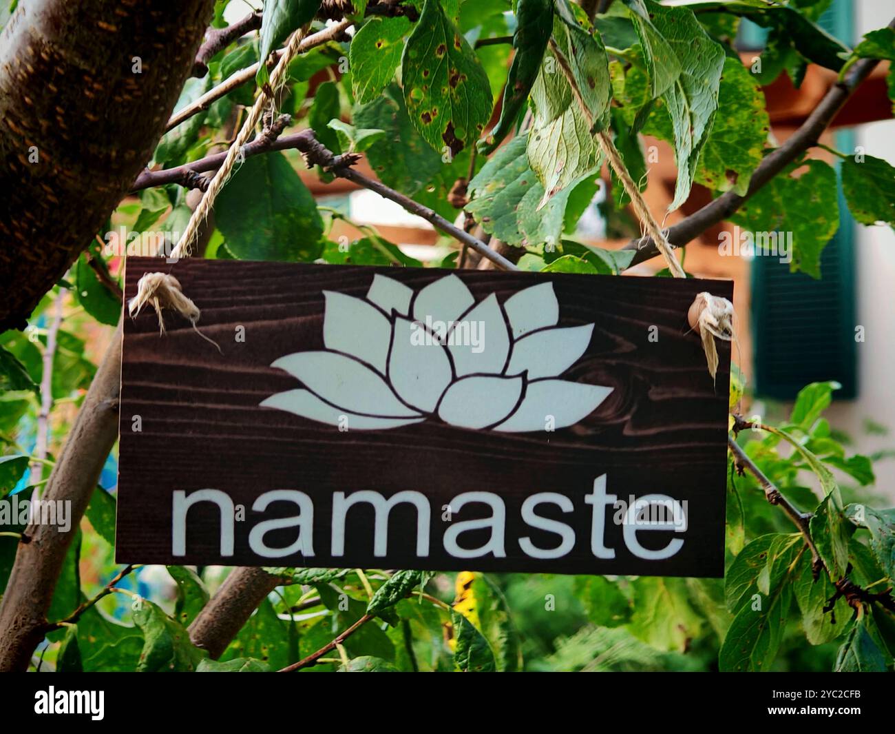 the various forms of the Indian caste system in society the indian ...