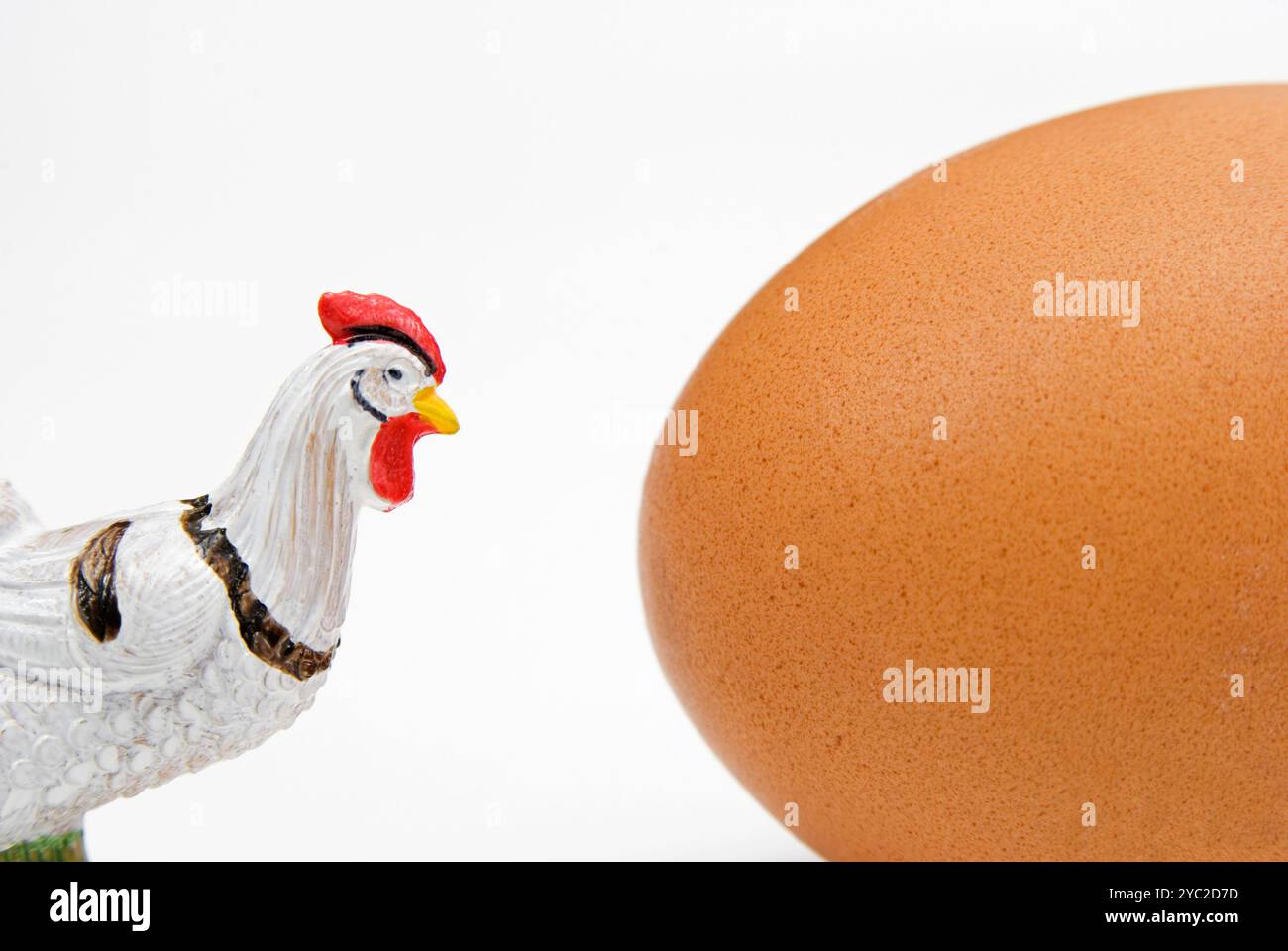 fake chicken and real egg Stock Photo - Alamy