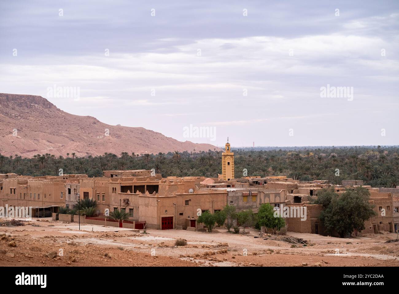 Small town and mosque into the immense Tafilalet oasis in Morocco ...