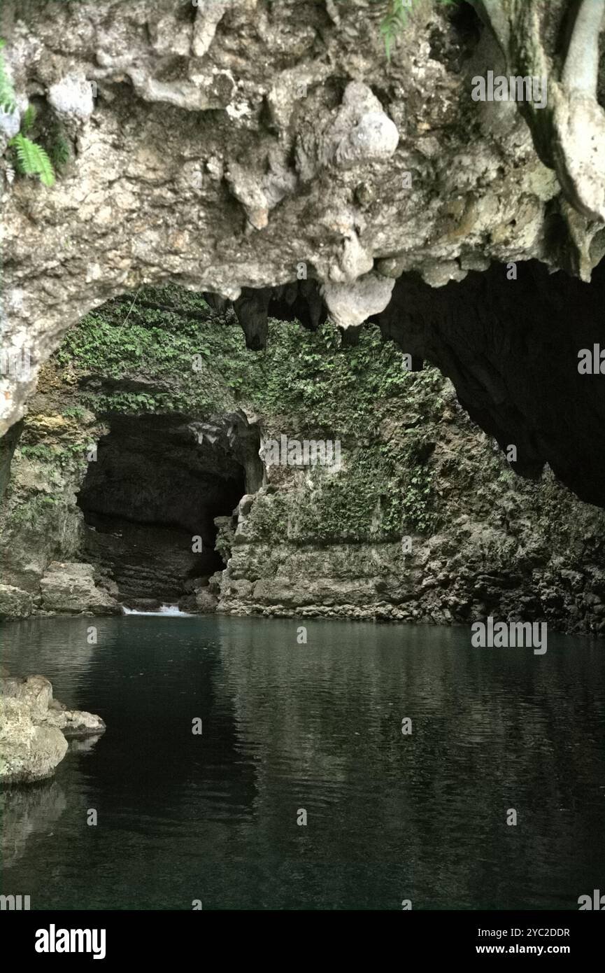 Limestone caves of Waikelo Sawah, a rare water source in Sumba—an ...