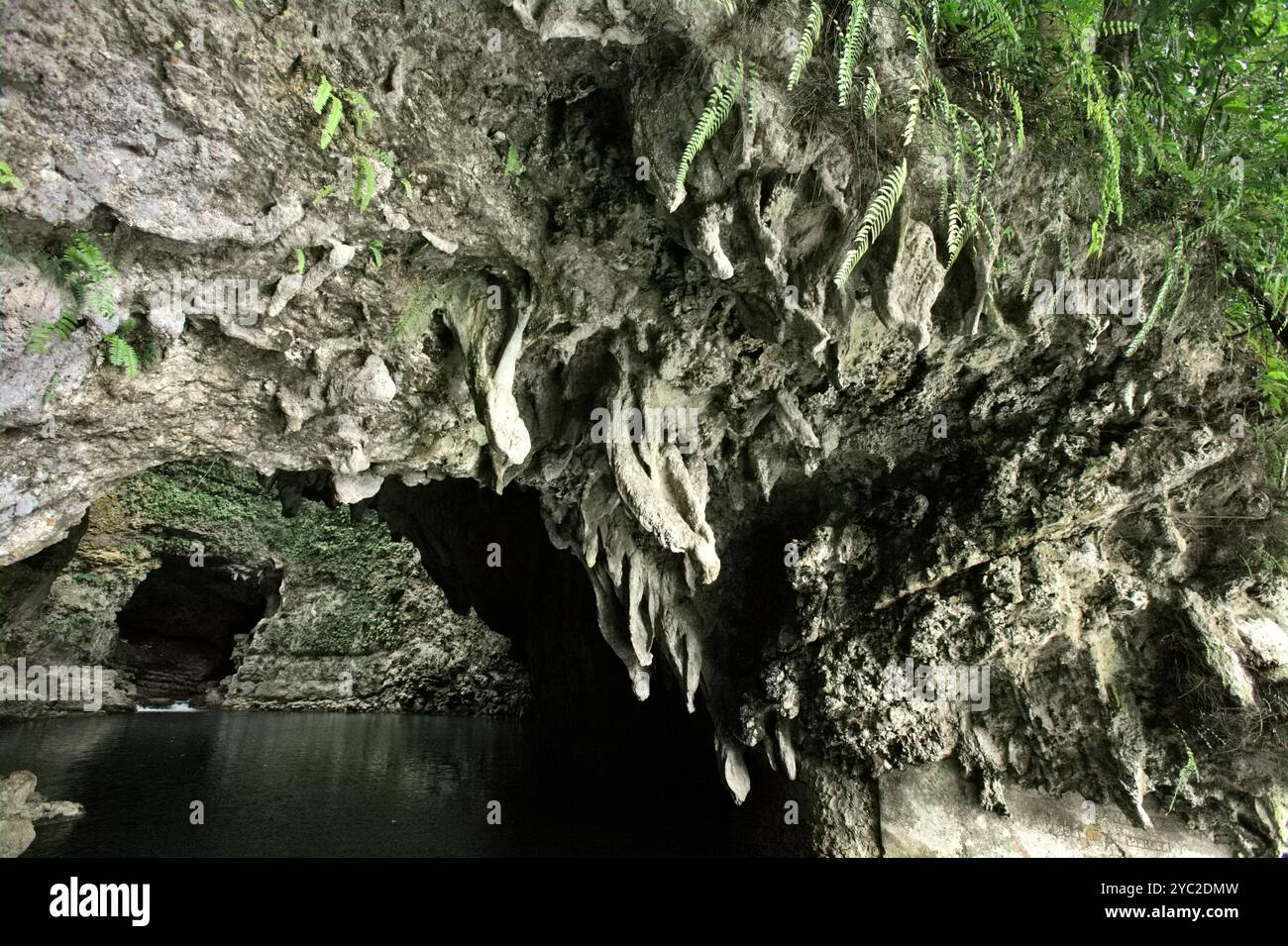 Limestone caves of Waikelo Sawah, a rare water source in Sumba—an ...