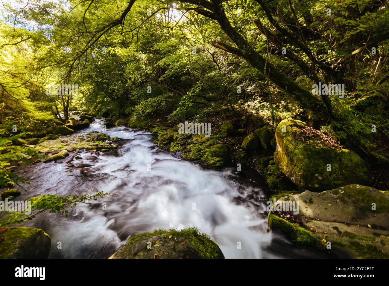 Tateshina Otaki Falls in Japan Stock Photo - Alamy