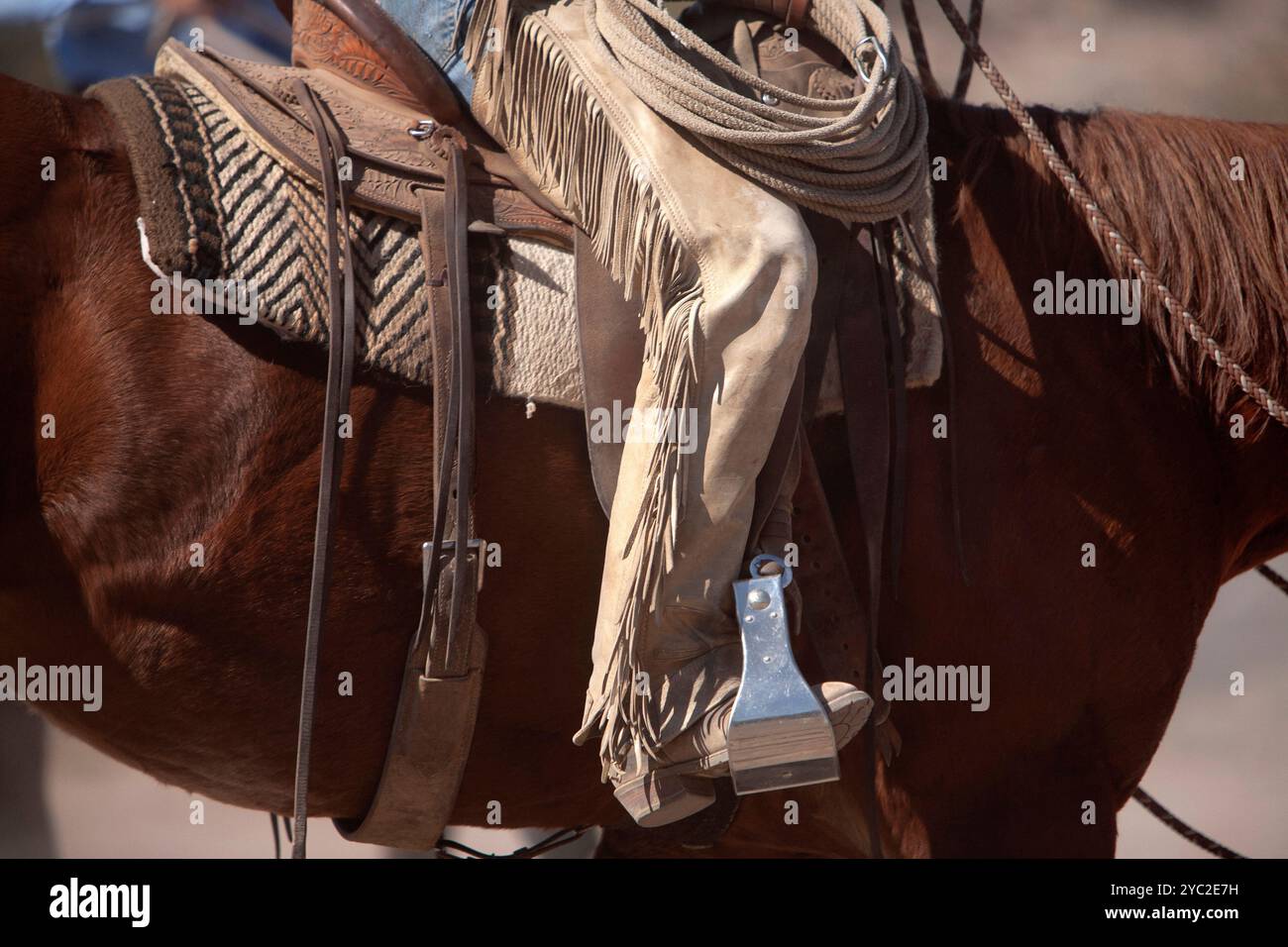 Profile side view of horse saddle and stirrups rider wearing chaps ...