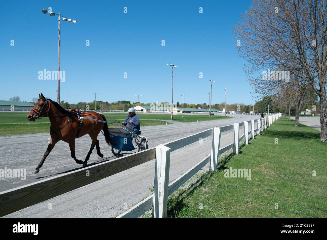A harness race driver practicing on horse track Stock Photo - Alamy