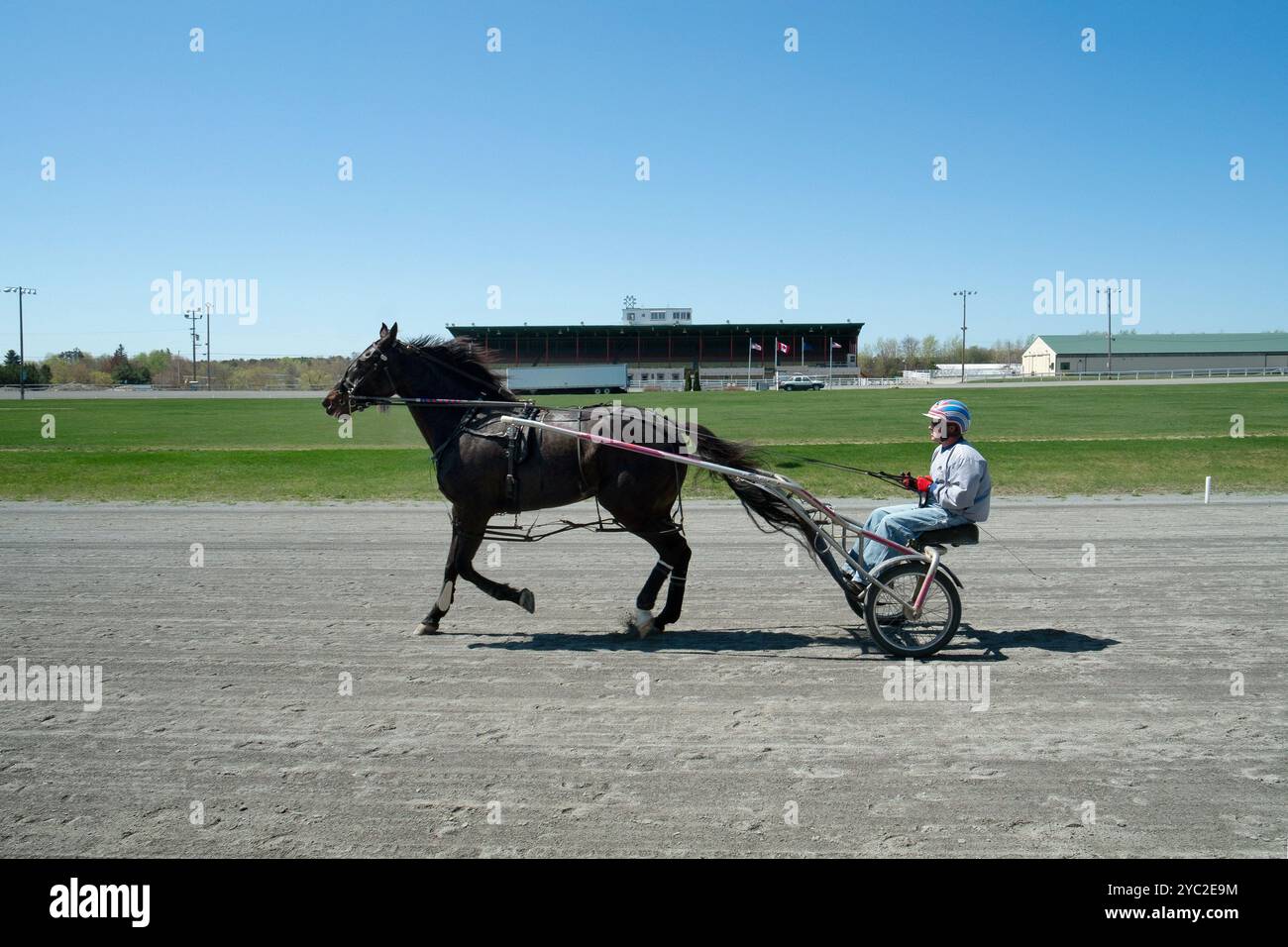 Chariot with horse and driver hi-res stock photography and images - Alamy