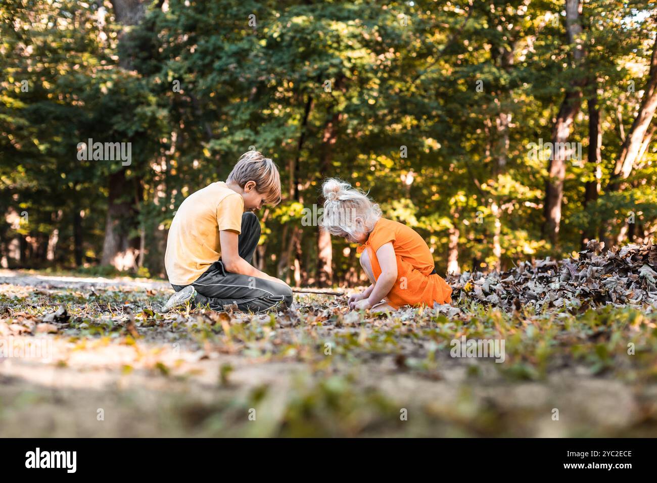 Siblings playing together in dirt surrounded in fall foliage Stock ...