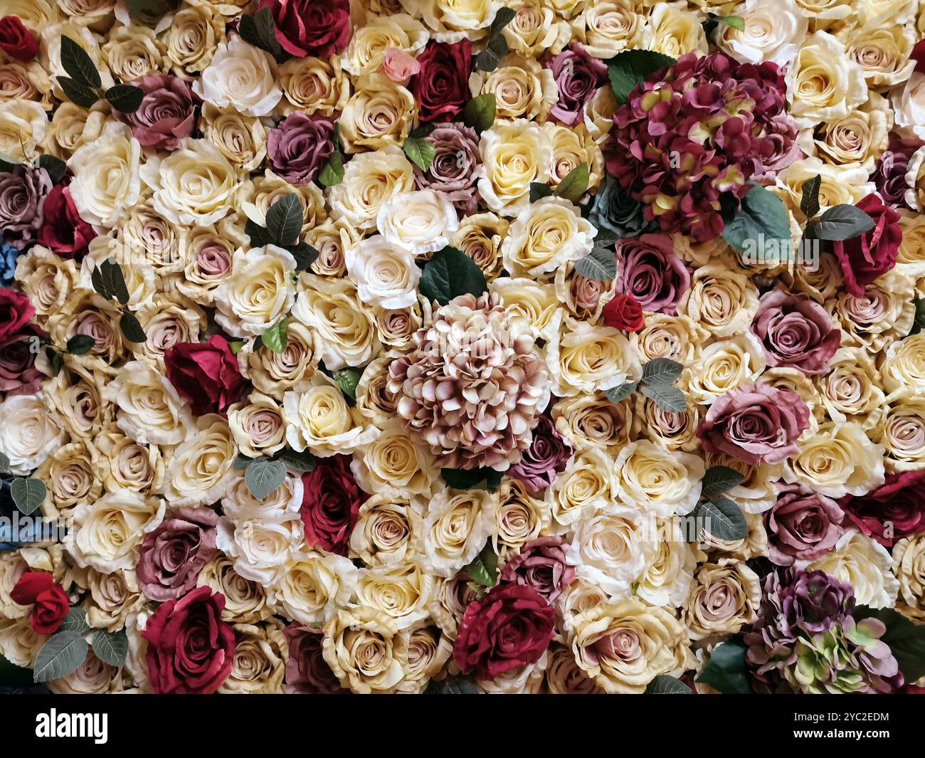 dried roses texture as very nice background Stock Photo - Alamy