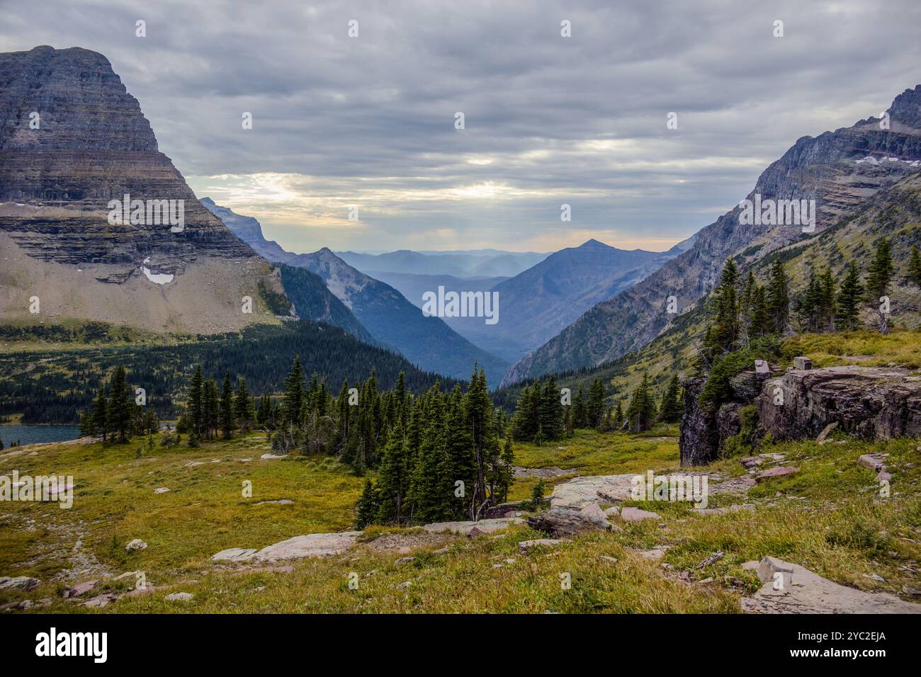 Hidden Lake in Glacier National Park Stock Photo - Alamy