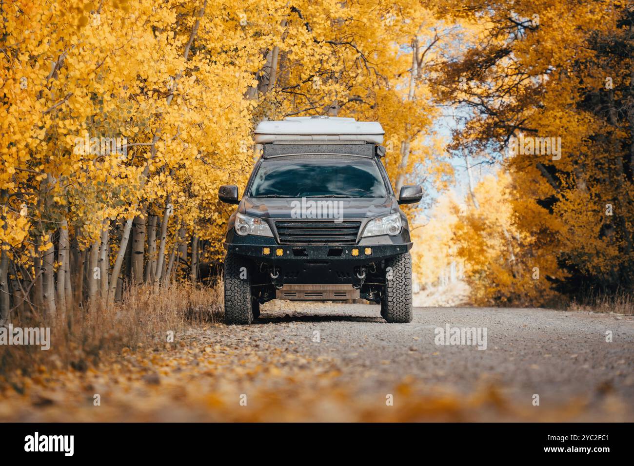 Head On View Of Modified SUV Surrounded By Fall Colors Stock Photo - Alamy