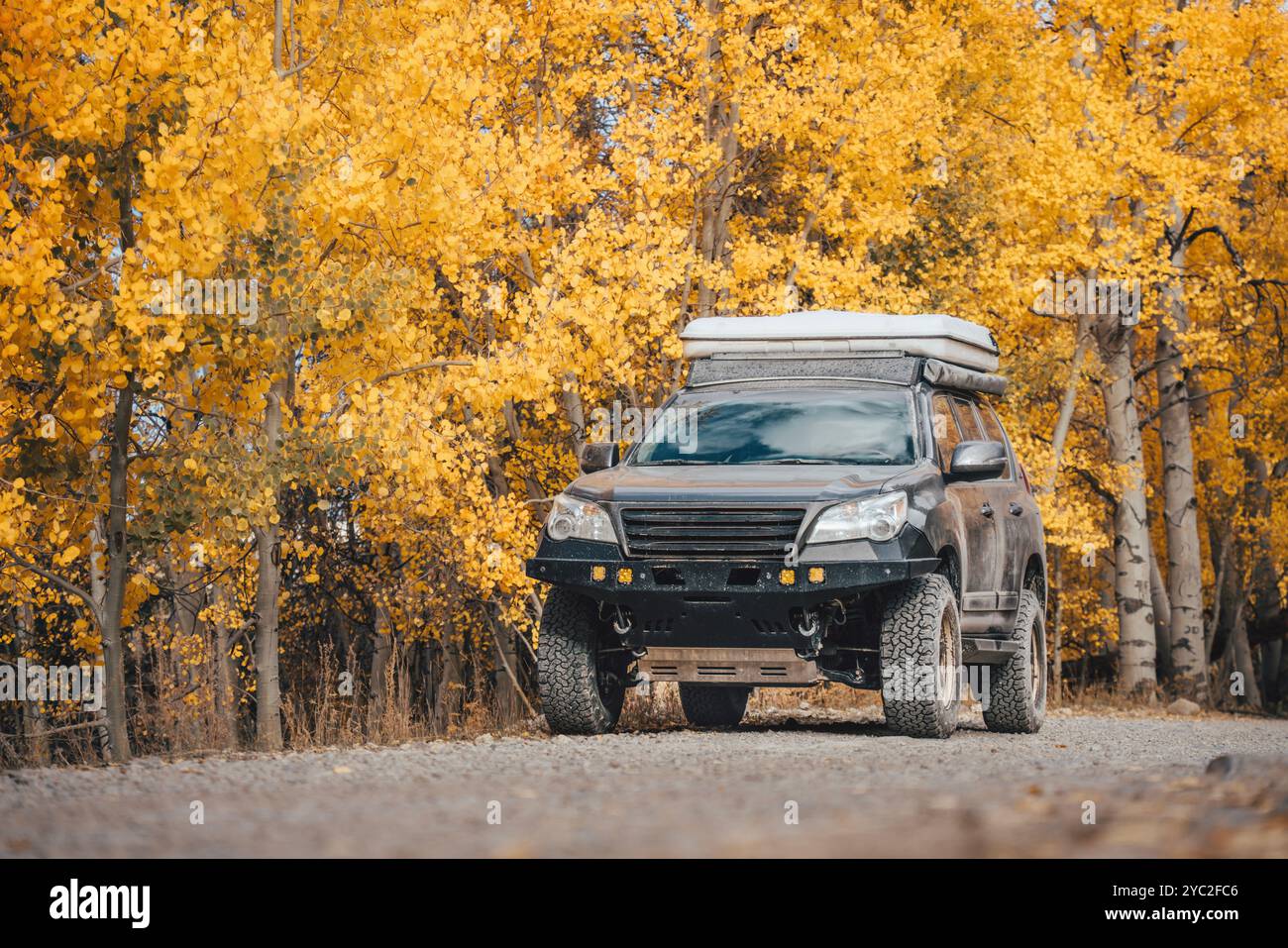 Modified vehicle suv hi-res stock photography and images - Alamy