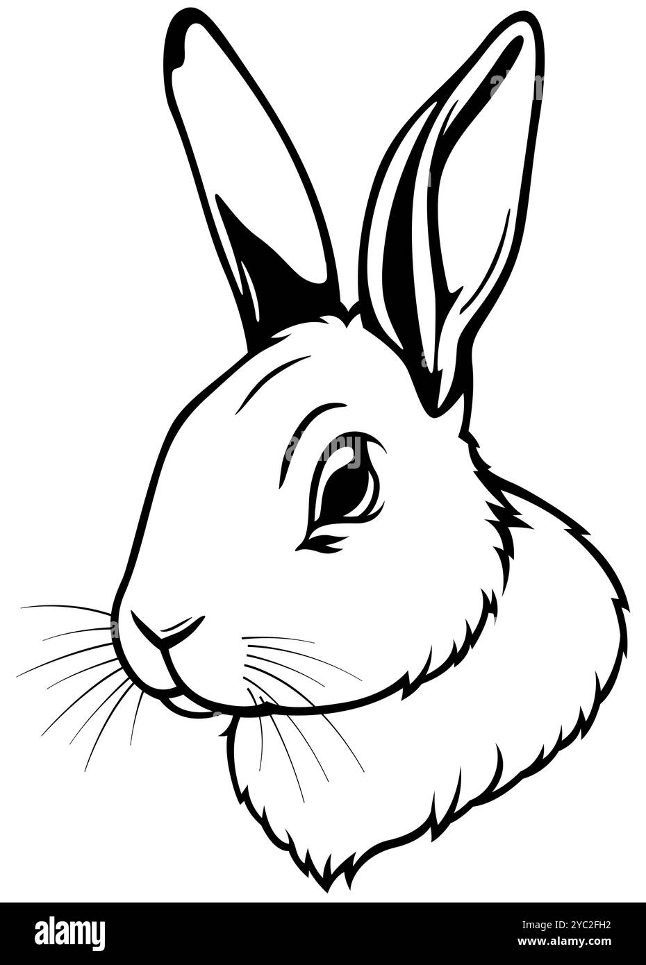 Hare rabbit bunny face Black and White Stock Photos & Images - Alamy