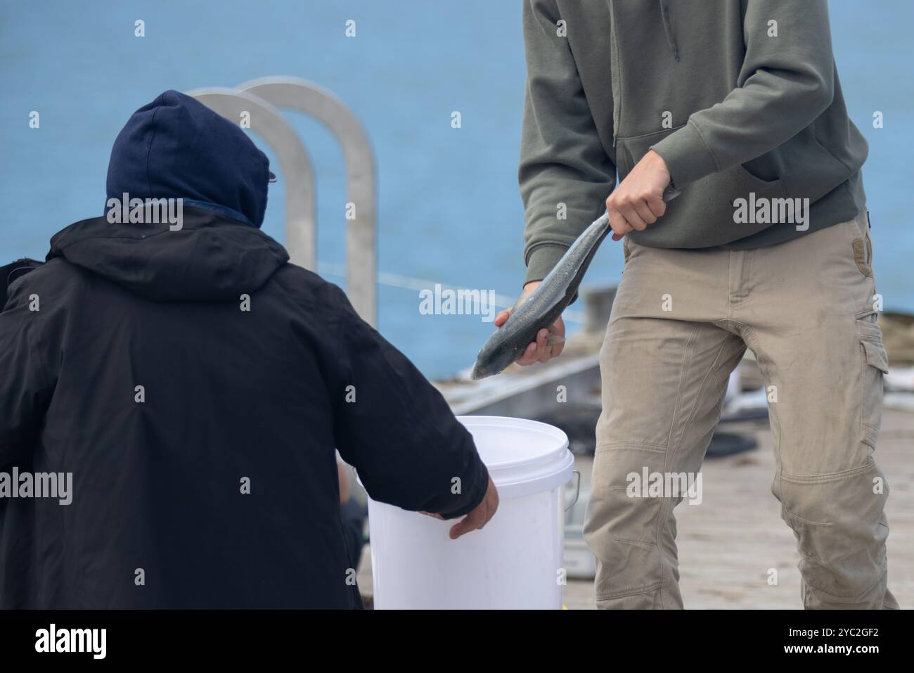 Two men handling a fresh catch on the pier Stock Photo - Alamy