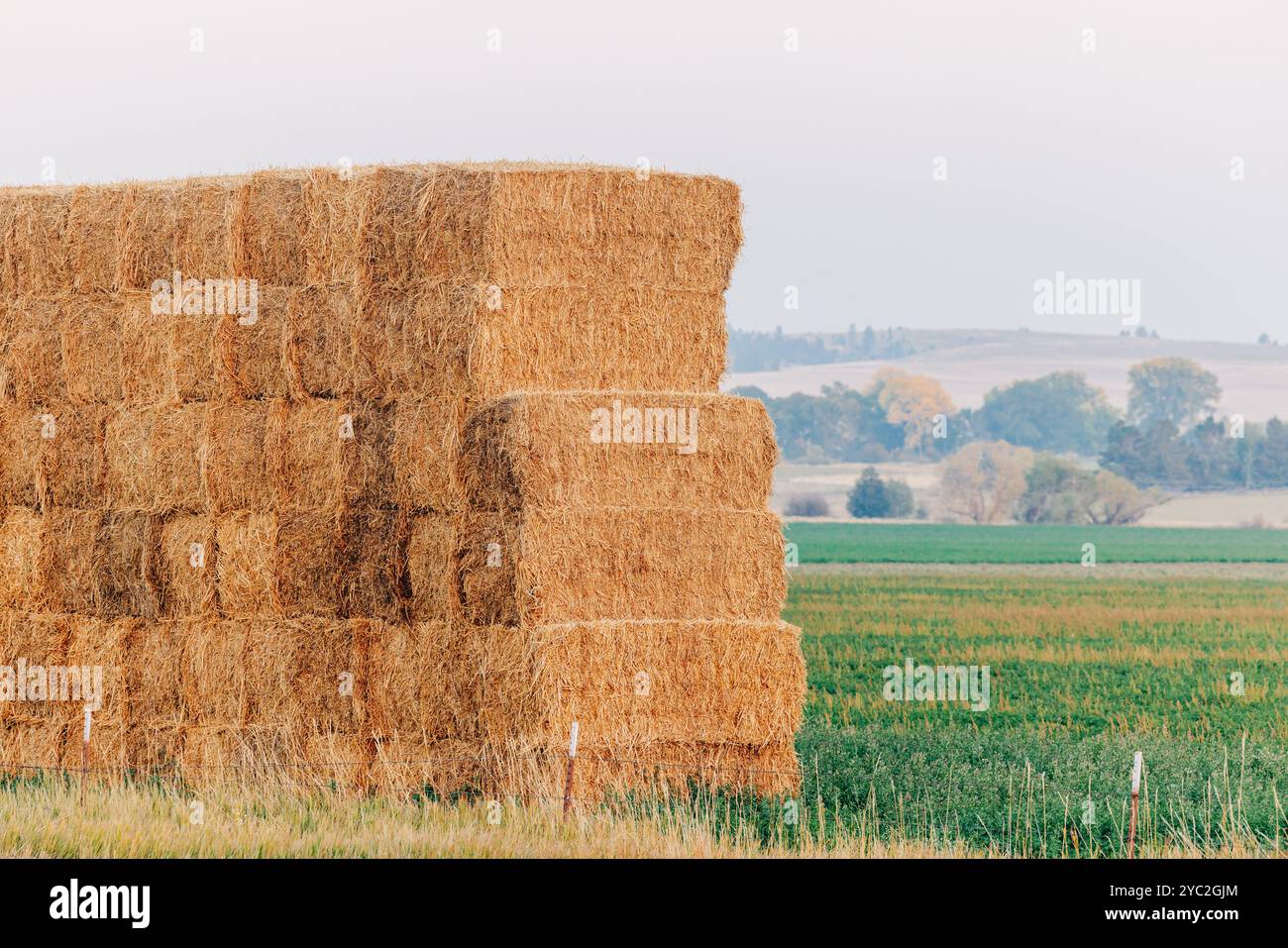Stacked rectangular hay bales in rural Western Montana Stock Photo - Alamy