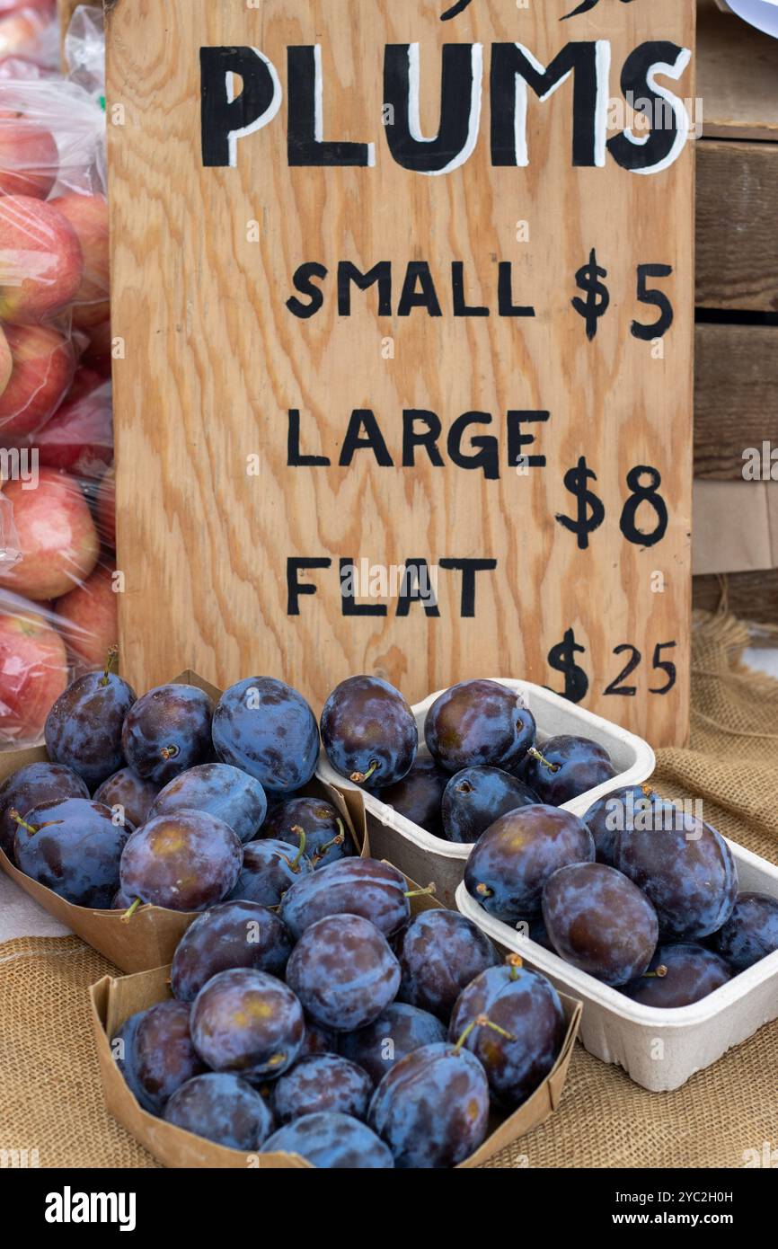 Fresh plums in cartons for sale at a farmers market with price sign ...
