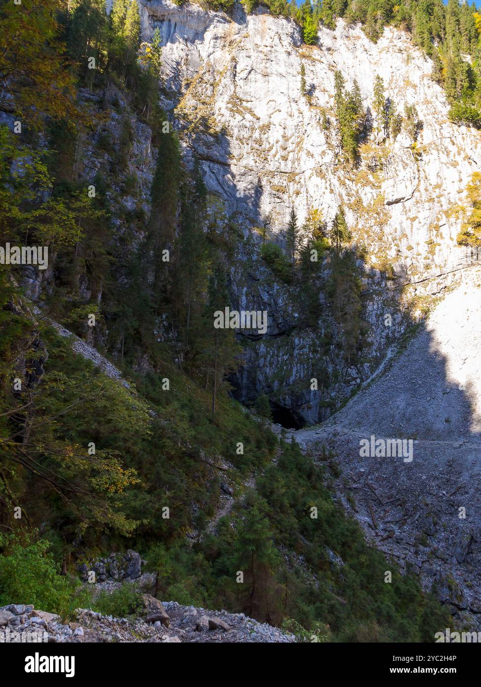 landscape of padis plateau in apuseni natural park of romania. travel ...