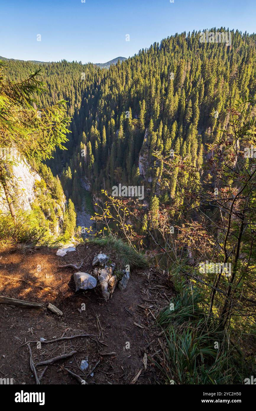 landscape of padis plateau in apuseni natural park of romania. cetatile ...