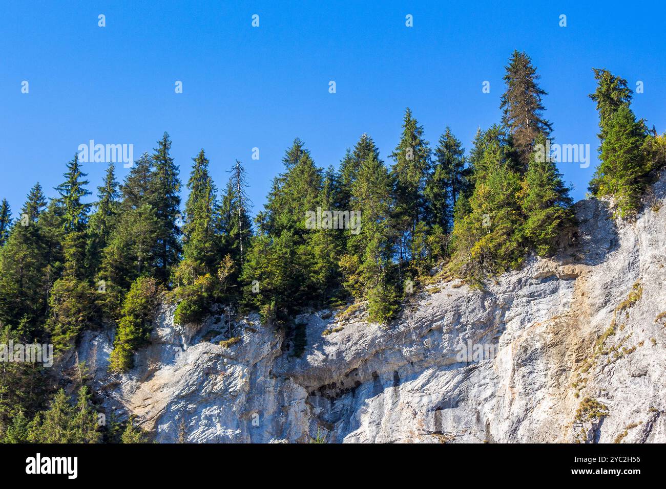 landscape of padis plateau in apuseni natural park of romania. amazing ...