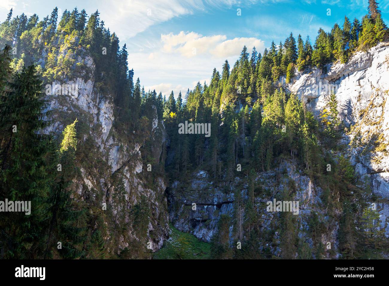 landscape of padis plateau in apuseni natural park of romania. outdoor ...