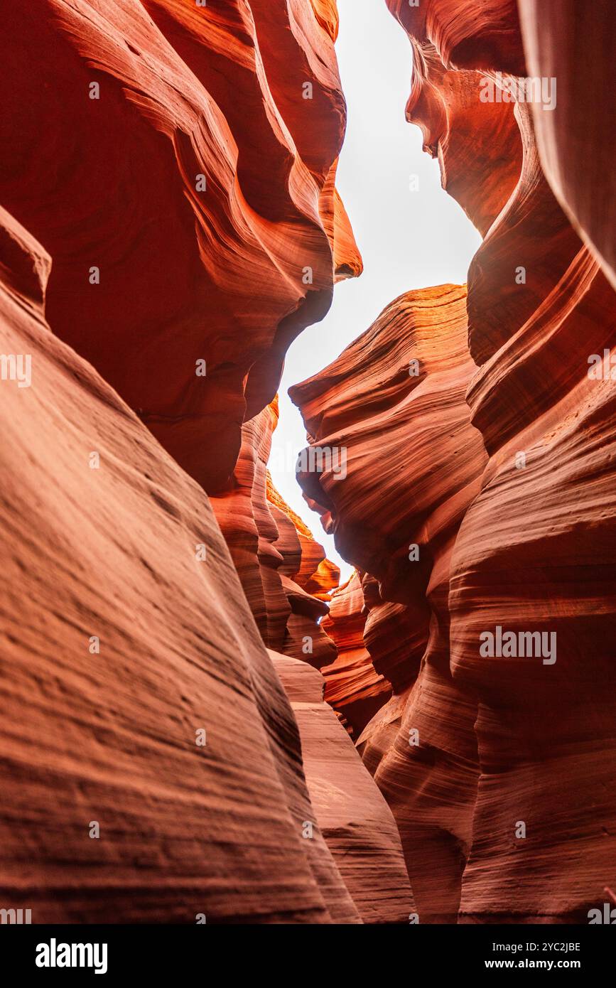 Red sandstone curves in the narrow pathways of Antelope Canyon Stock ...