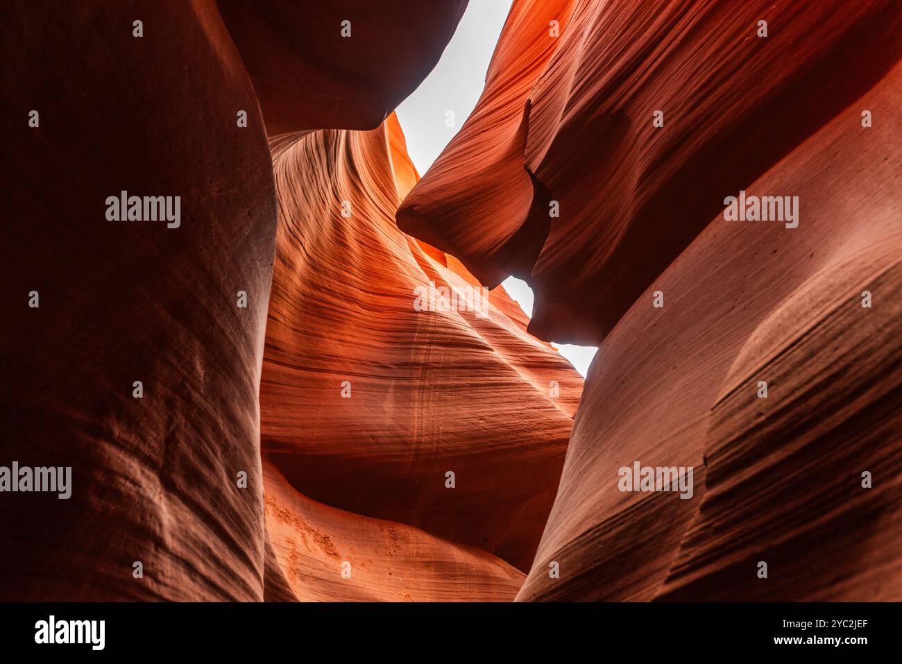 Sunlight highlights the stunning curves of Antelope Canyon Stock Photo ...