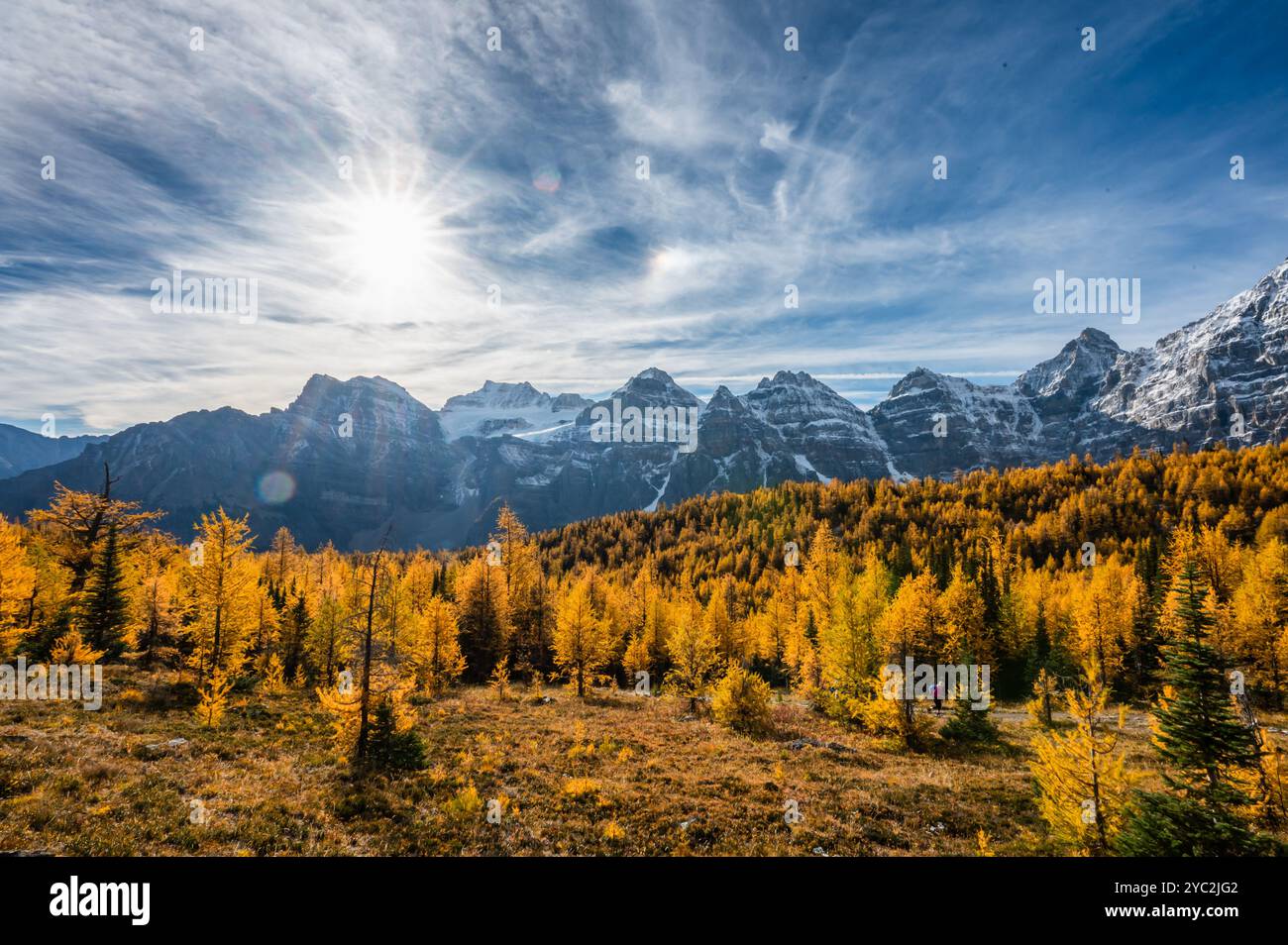 Mountains and yellow larch trees in fall in Larch Valley, Canada Stock ...