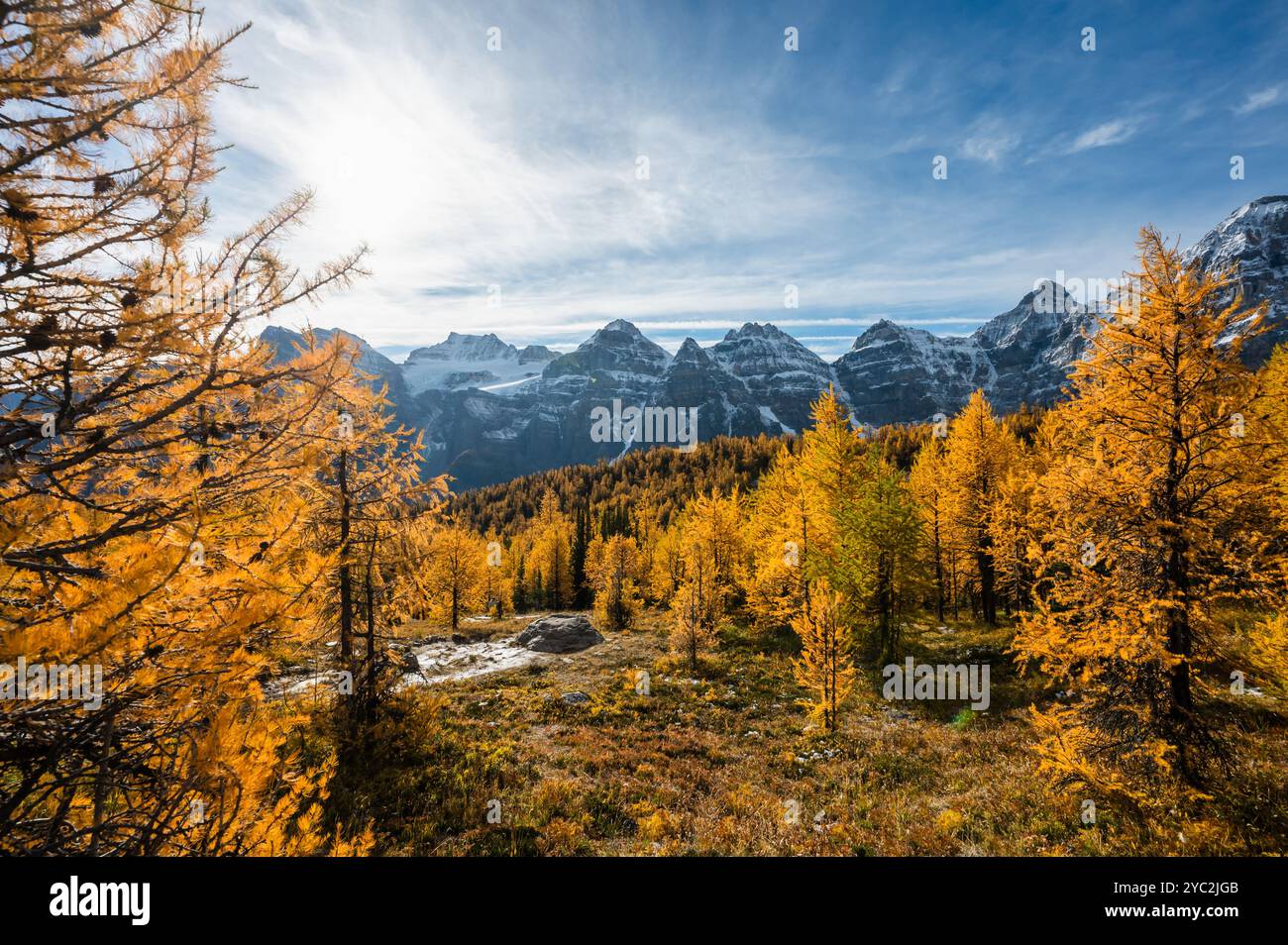 Golden trees fall banff hi-res stock photography and images - Alamy