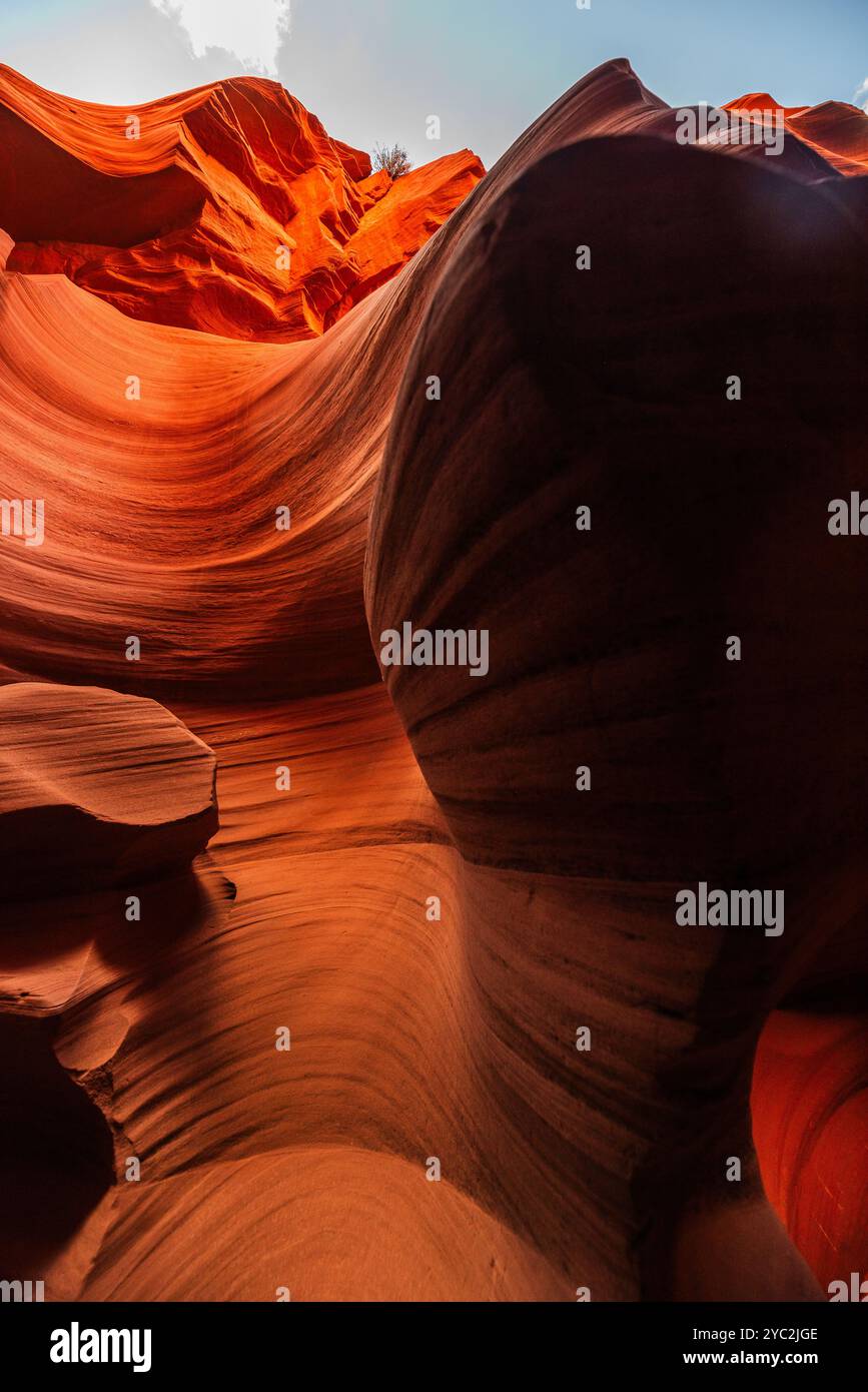 Smooth sandstone curves bathed in sunlight in Antelope Canyon Stock ...