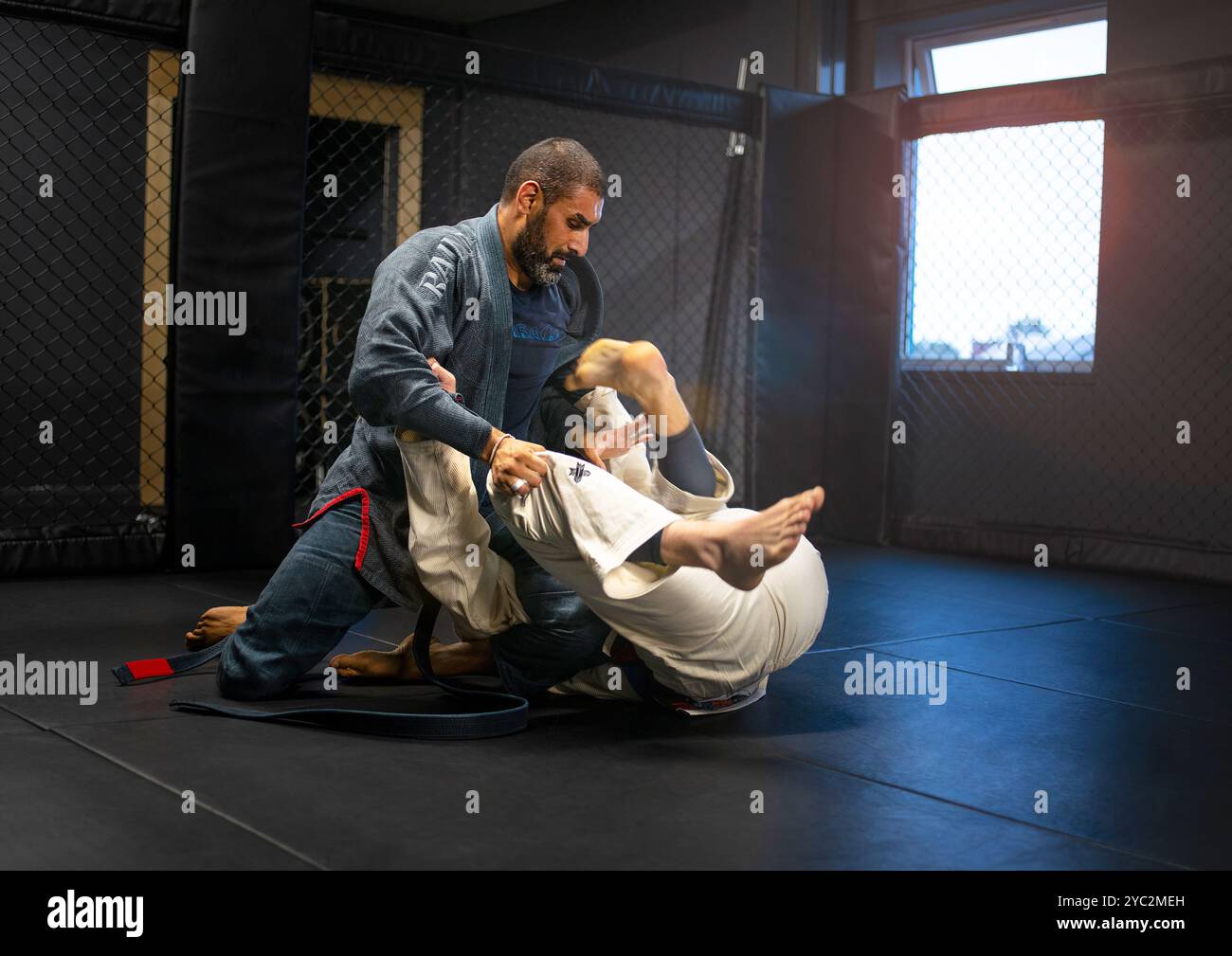 Brazilian Jiu jitsu black belt sparring with blue belt - BJJ Stock Photo - Alamy