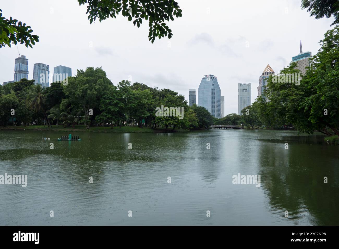 Urban view of Lumphini Park in Bangkok, Thailand, Asia. City landscape ...