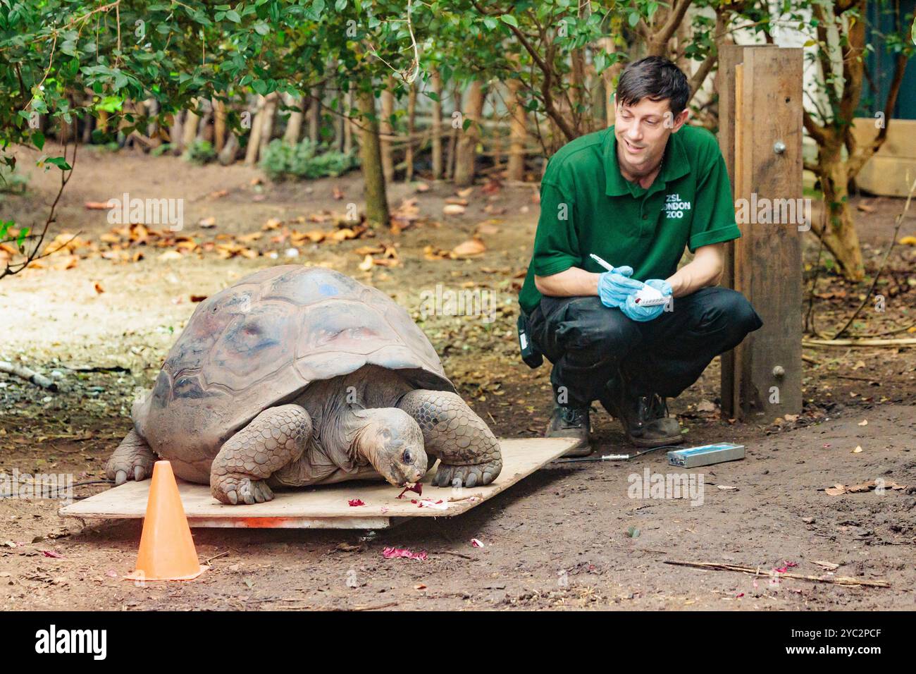 ZSL London Zoo, London, UK. 21st October 2024. Senior keeper, Jamie ...
