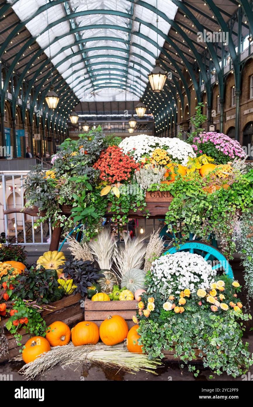 Autumn floral flowers pumpkin gourd display at Covent Garden Market in ...