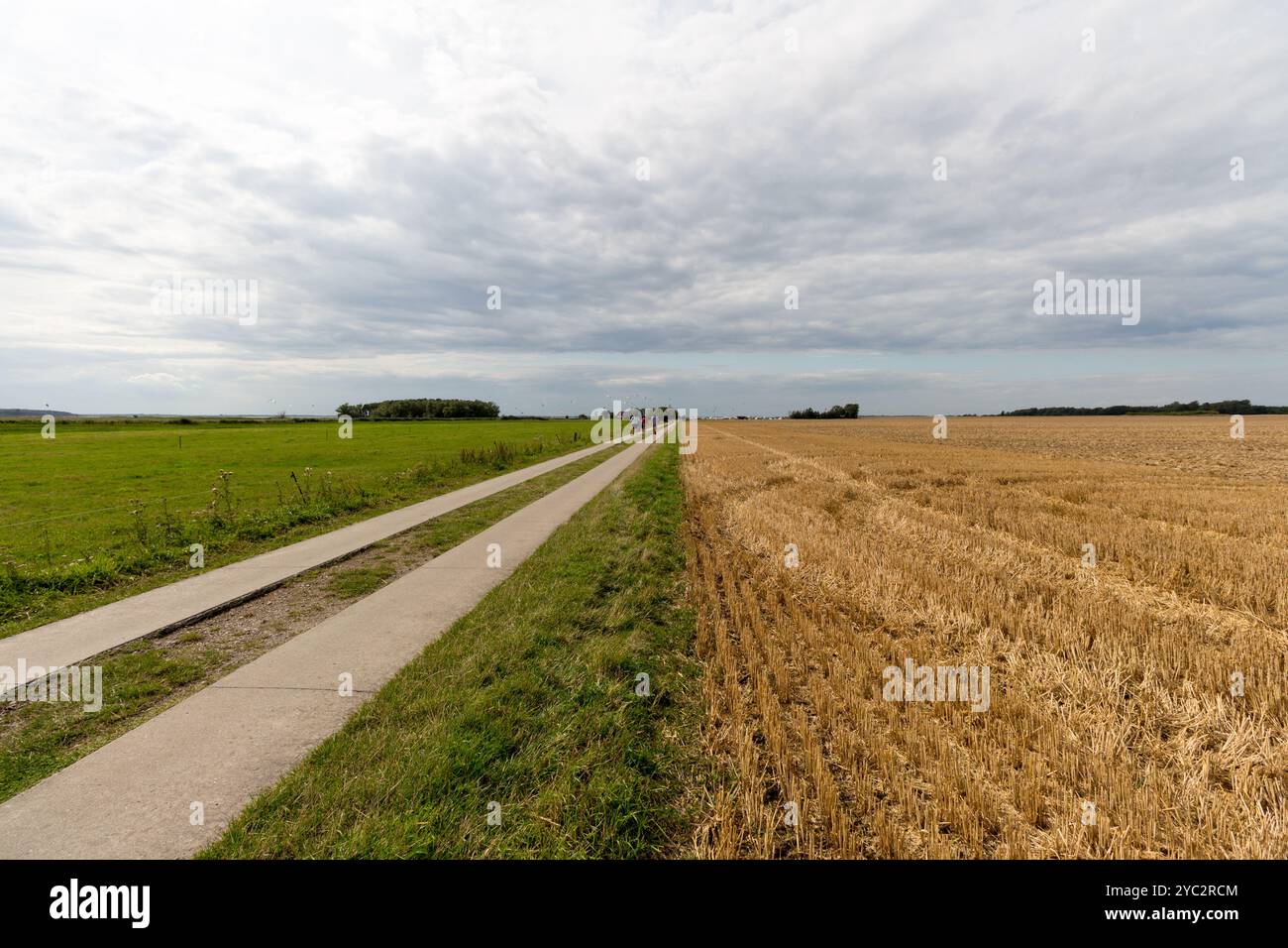 A rural path divides a golden harvested wheat field and a lush green ...