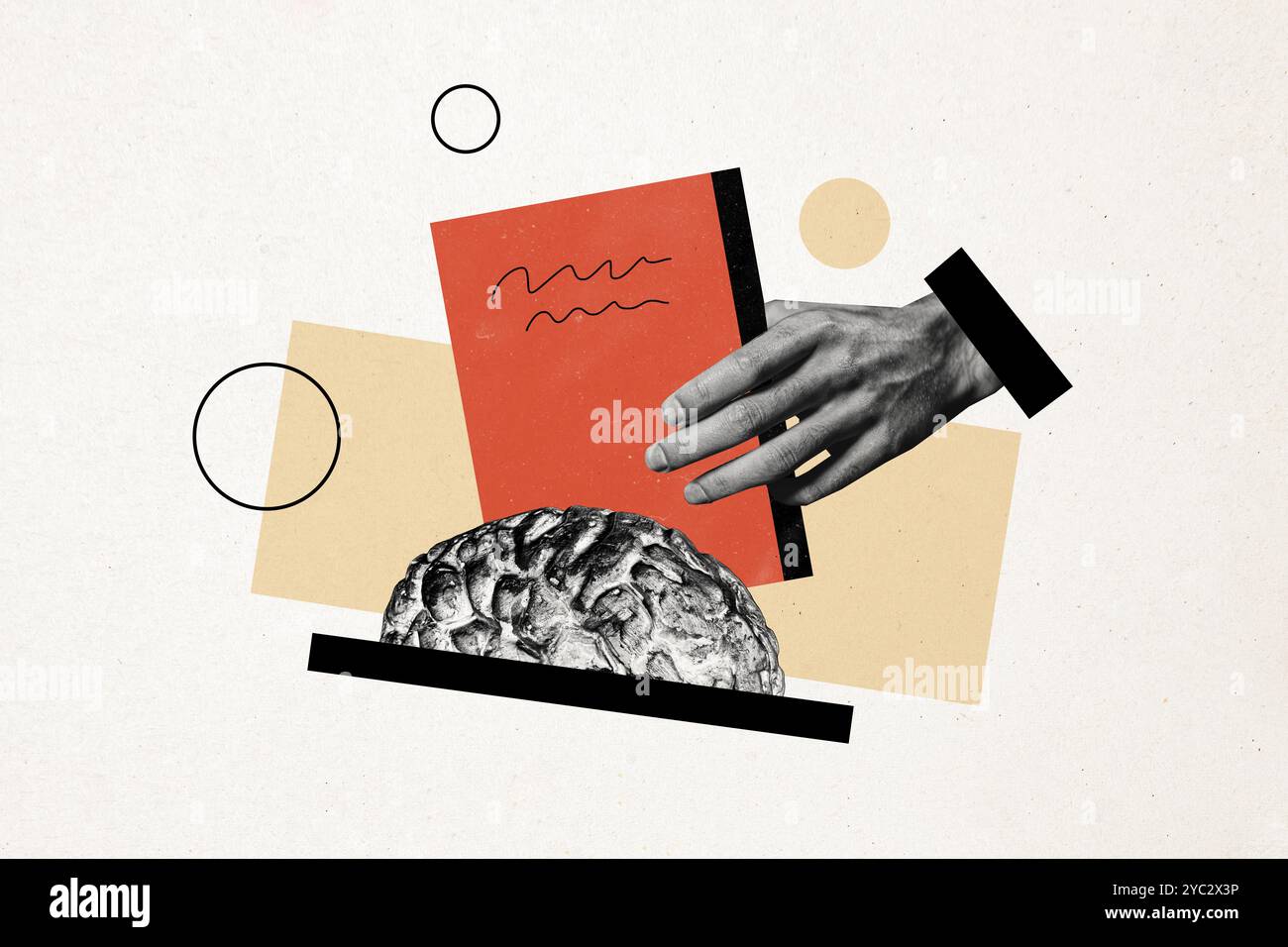 Composite photo collage of hands hold book study brain cortex education ...