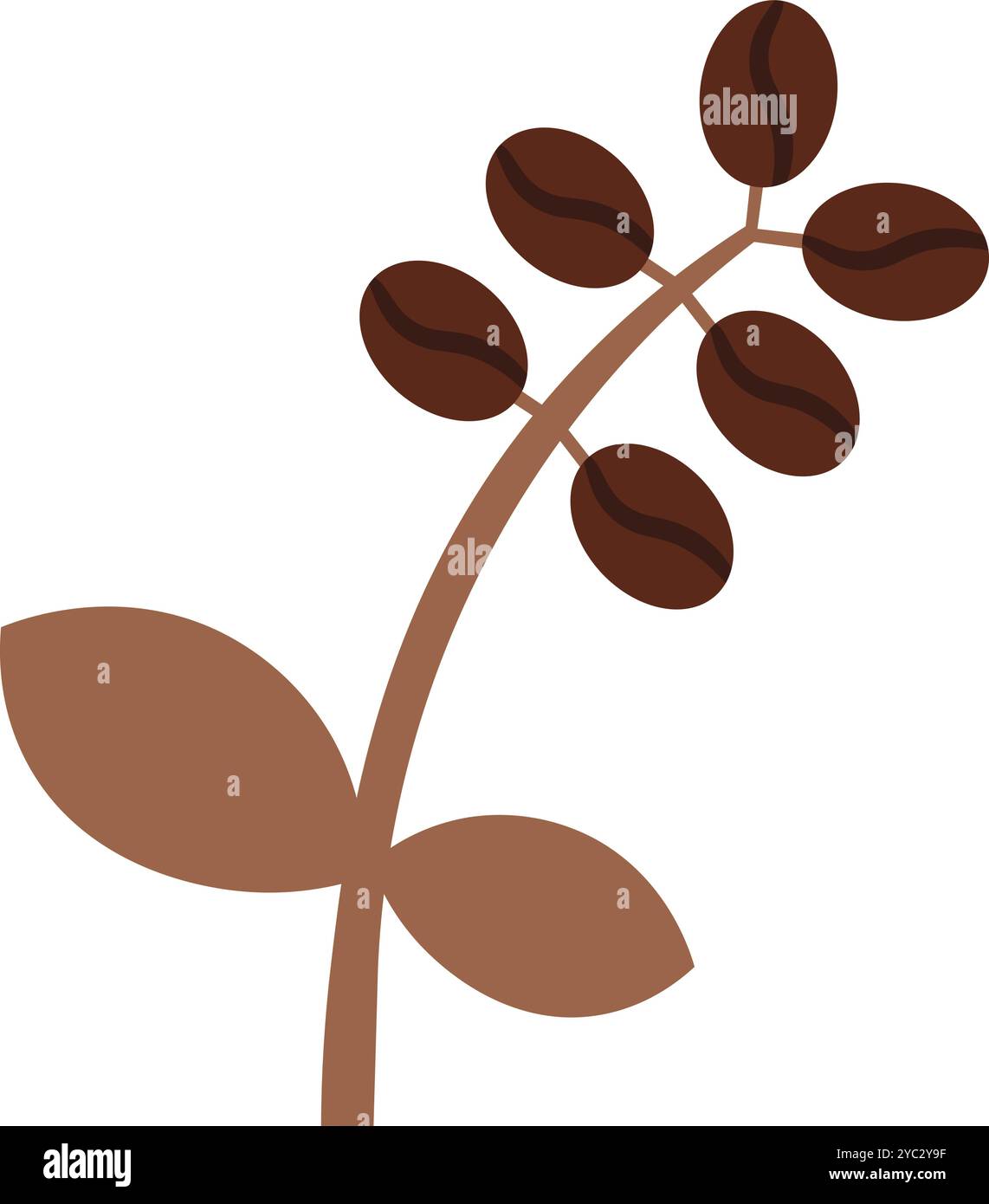 Coffee sapling Stock Vector Images - Alamy