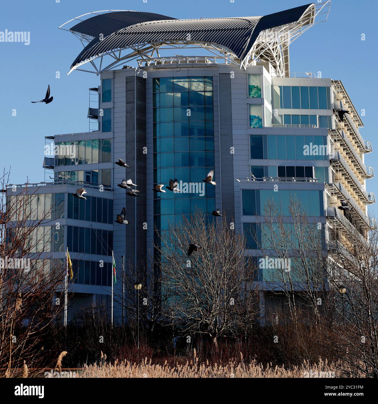 St David's Hotel with a flock of pigeons flying around. Cardiff Bay ...